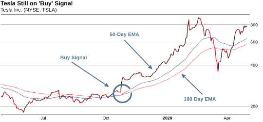 Tesla Still in Bullish Trend | Tea Party | Before It's News