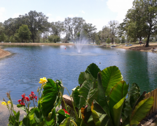 North Shore Landing RV Sites - Lake Fork