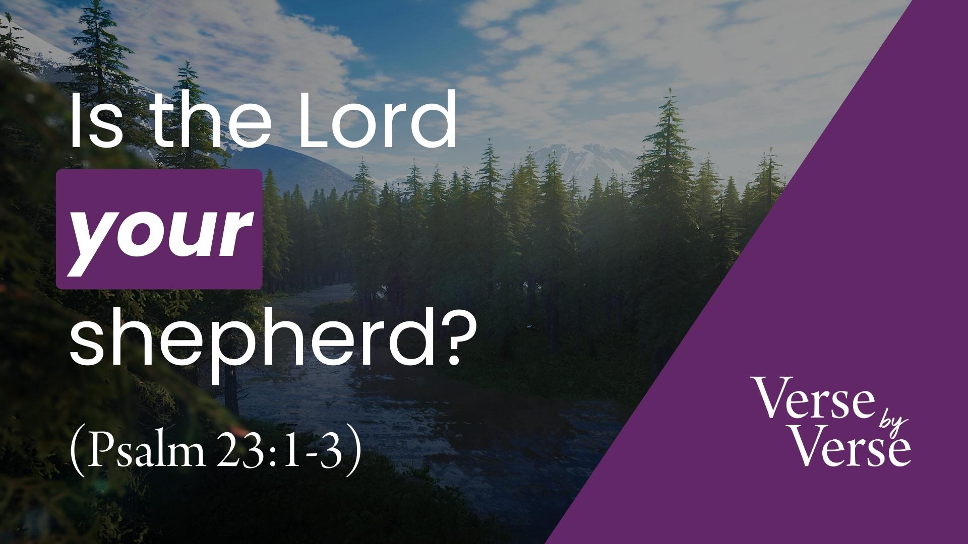 The LORD Is My Shepherd (Psalm 23:1-3)