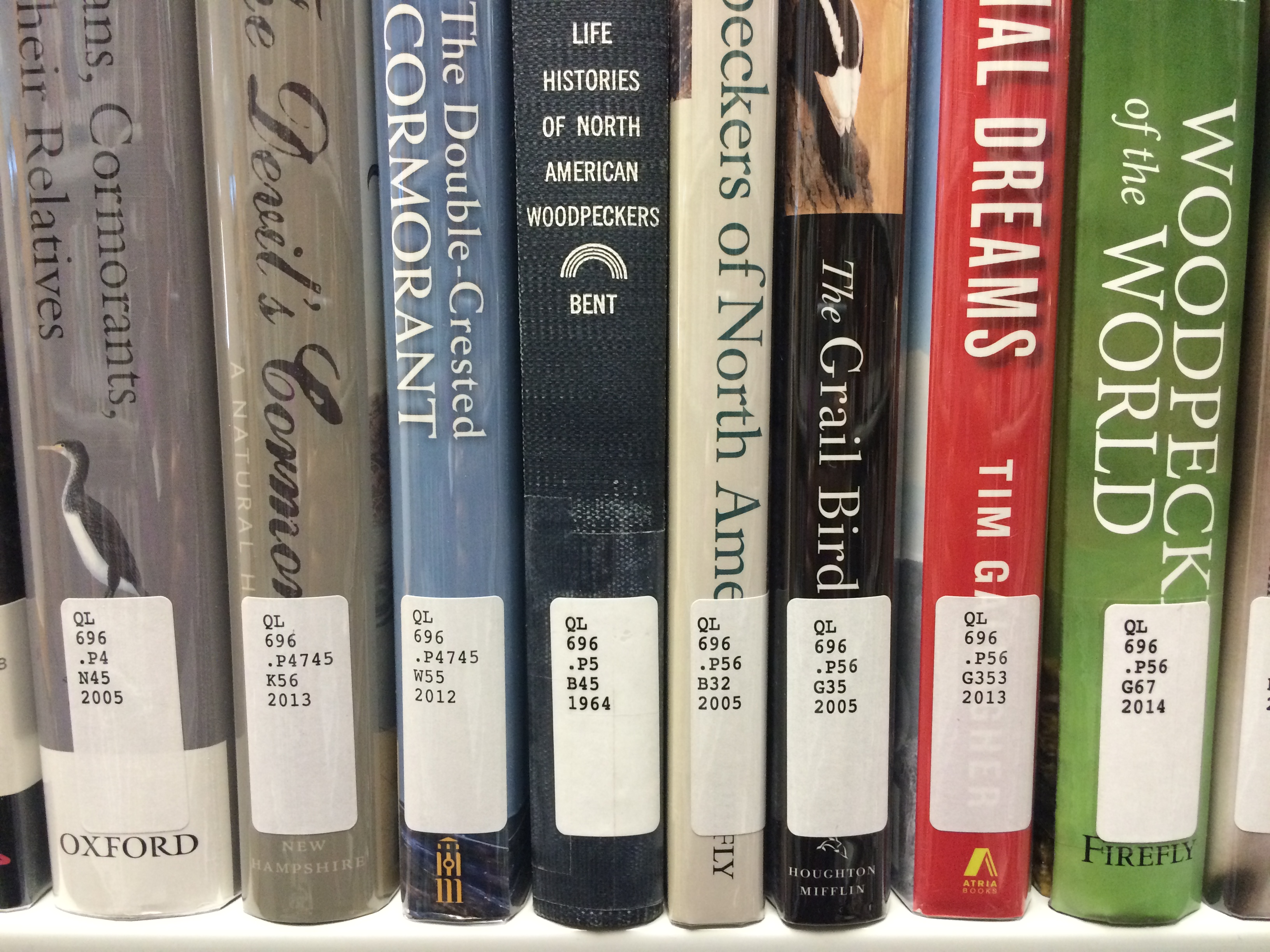 Finding Books on the Shelf - Information Skills - How Molstead Library ...