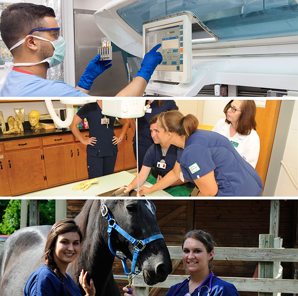 About - Veterinary Technology Research Guide - Research Guides at ...