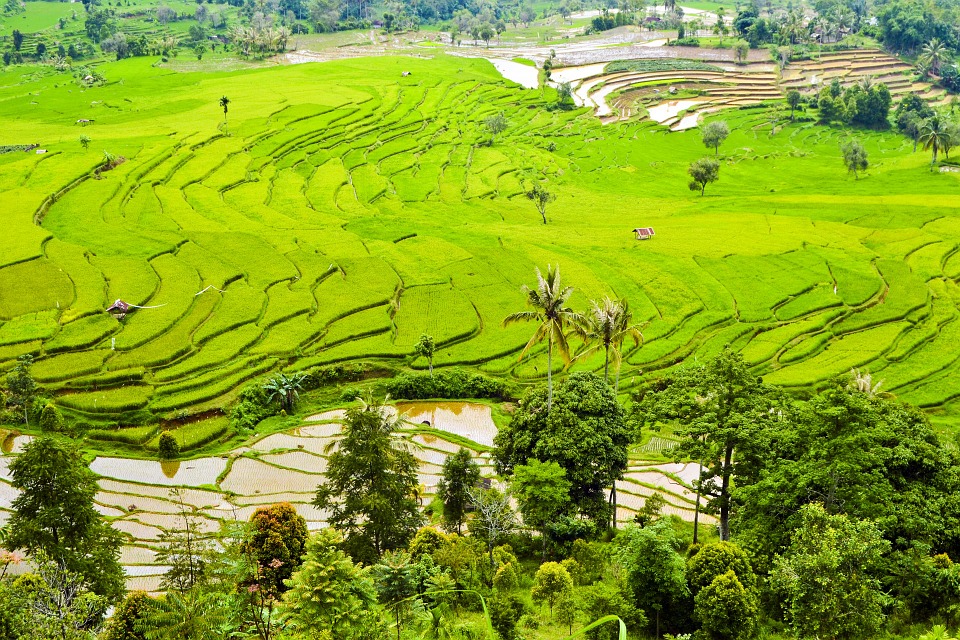 SCIENCE -- Tropical Grassland - Grade 8 - ESP - Sustainability ...