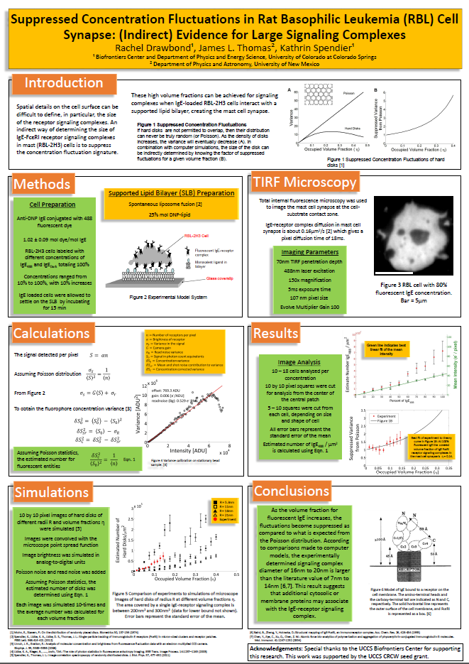 Poster Examples Designing A Research Poster LibGuides At Butler 