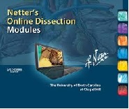 3D tools - Anatomy - LibGuides at Tufts University