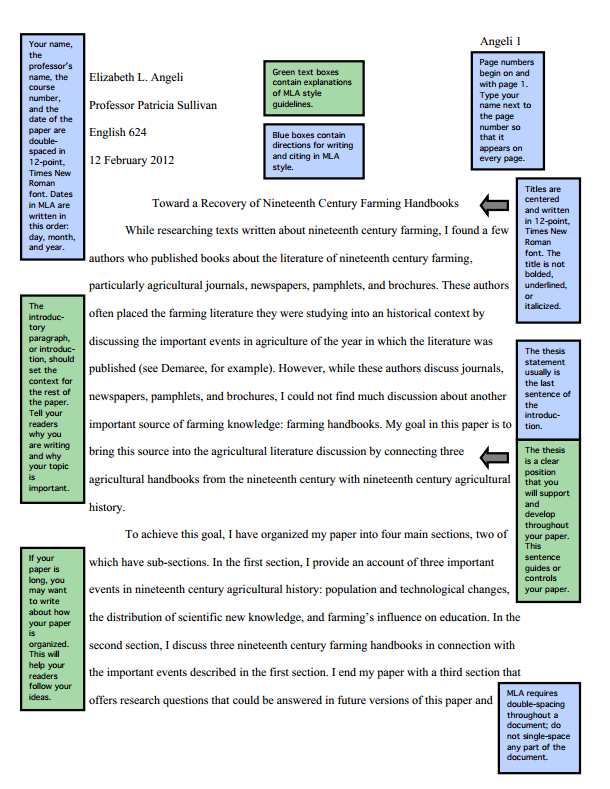 Research Paper Outline Template Mla Classles Democracy