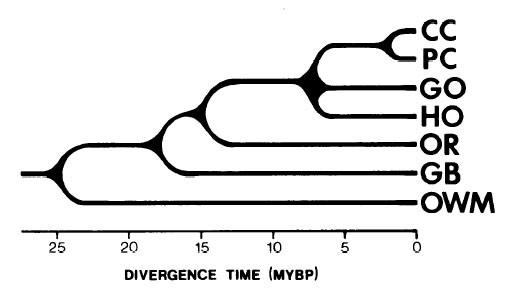What we know about the Tree of Life - BSCI 1511L Statistics Manual ...