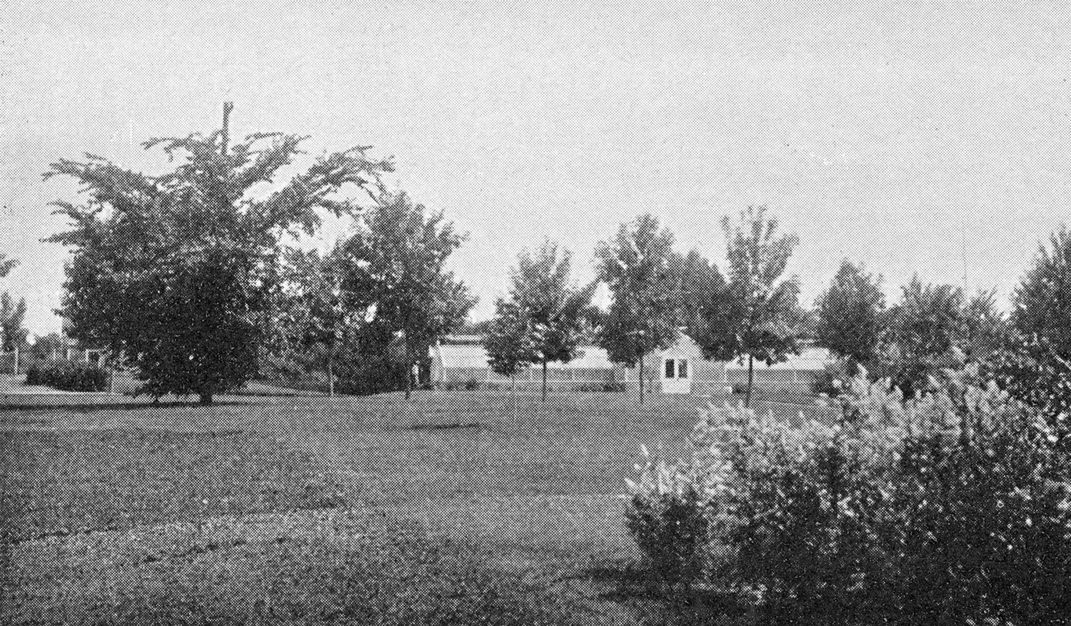 Grounds and Buildings - Celebrating 125 Years of the University of ...