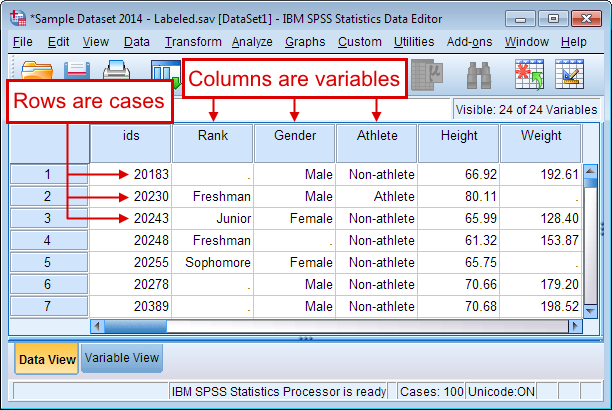 The Data View Window SPSS Tutorials LibGuides At Kent State University