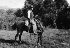 College of University Libraries and Learning Sciences News - Research ...