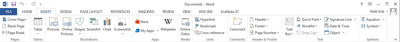 Insert Ribbon Microsoft Word 2013 Basics ULibraries Research Guides 