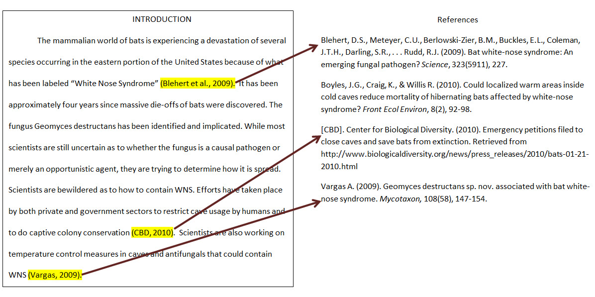 How To Insert A Citation In A Paper Paasgeeks