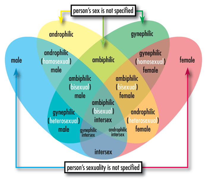 Sexes Vs Genders Telegraph Sexes Vs Genders Telegraph