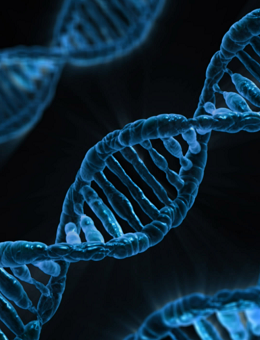 Biology & Environmental sciences - Library Guide Science - LibGuides at ...