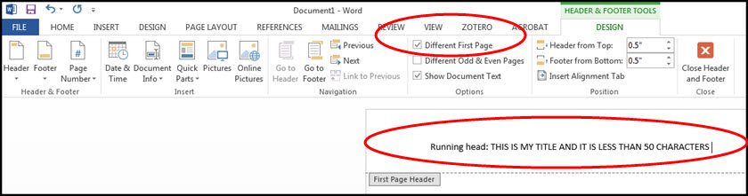 Running Head Apa Word SEONegativo