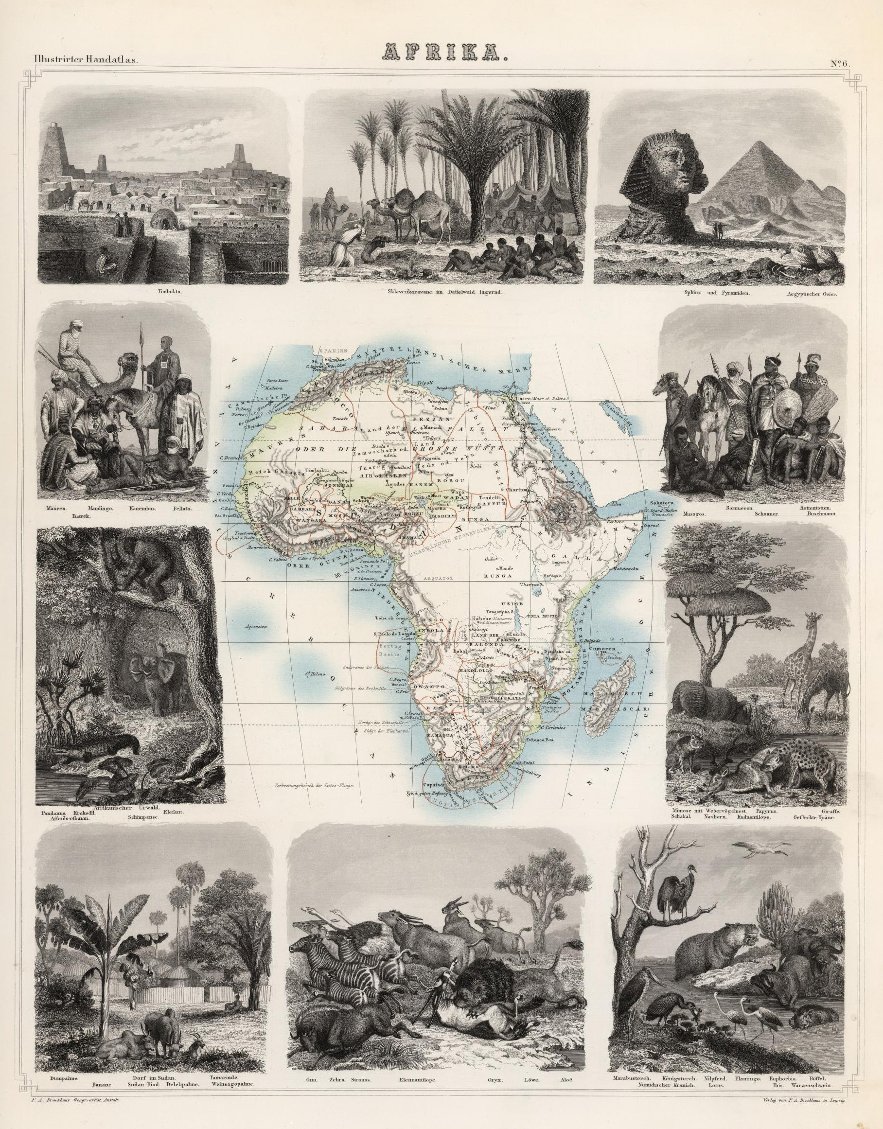 Africa: Stats and Maps by Theresa Quill - AFRI A650 Interdisciplinary ...