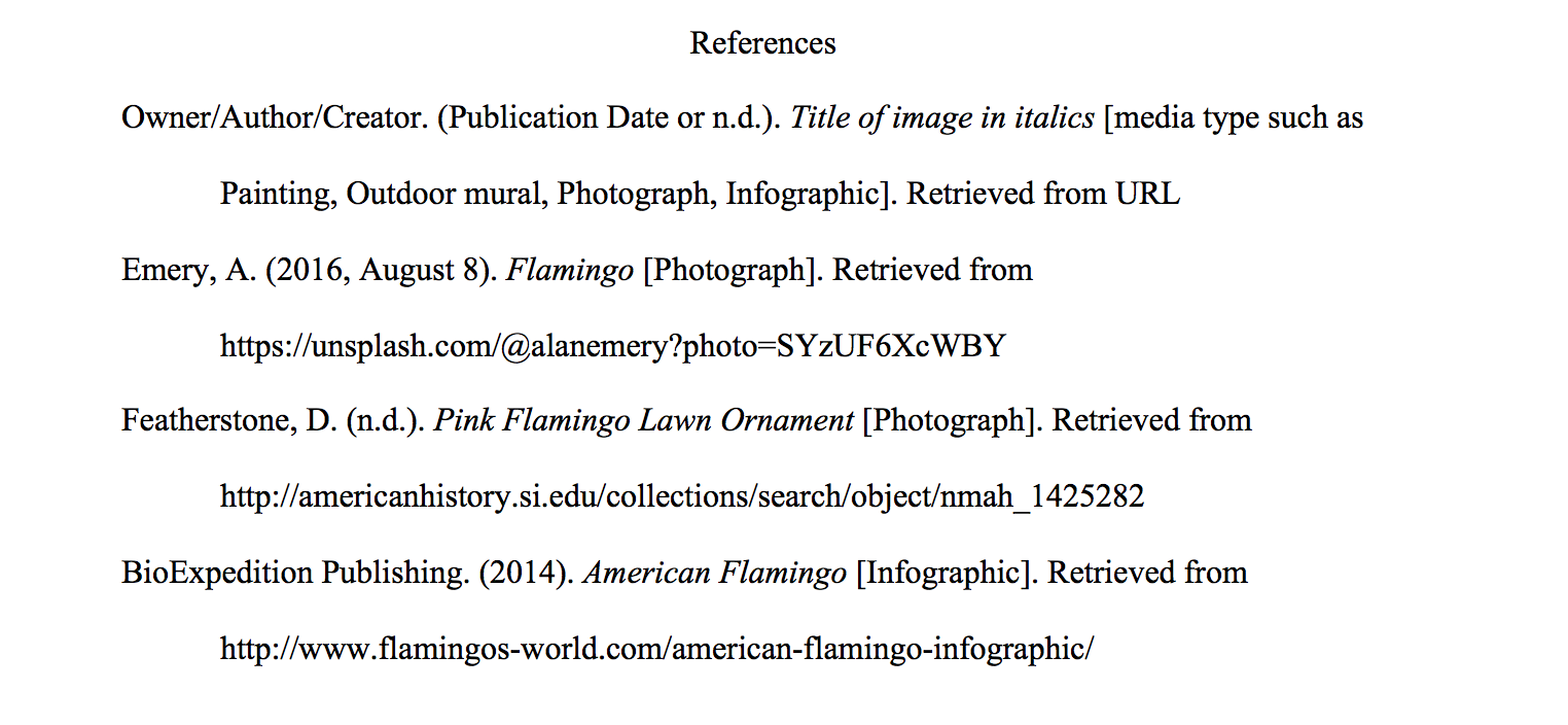 How To Reference A Website Picture In Apa Anismamu
