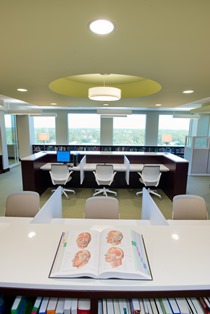 Amenities - Florida Library - Guides at Mayo Clinic