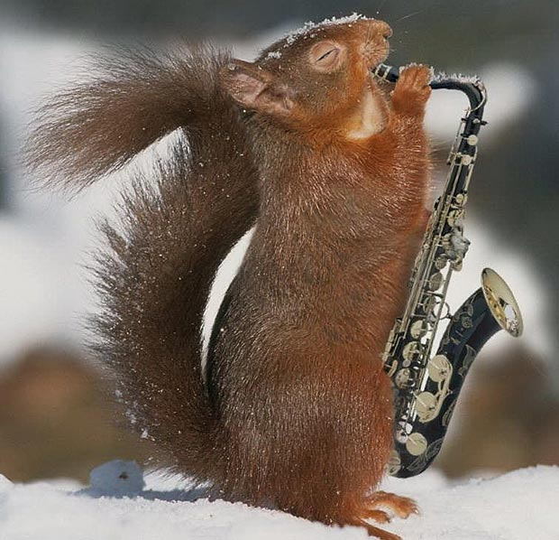 Woodwinds - Musical Instruments - LibGuides at Ball State University