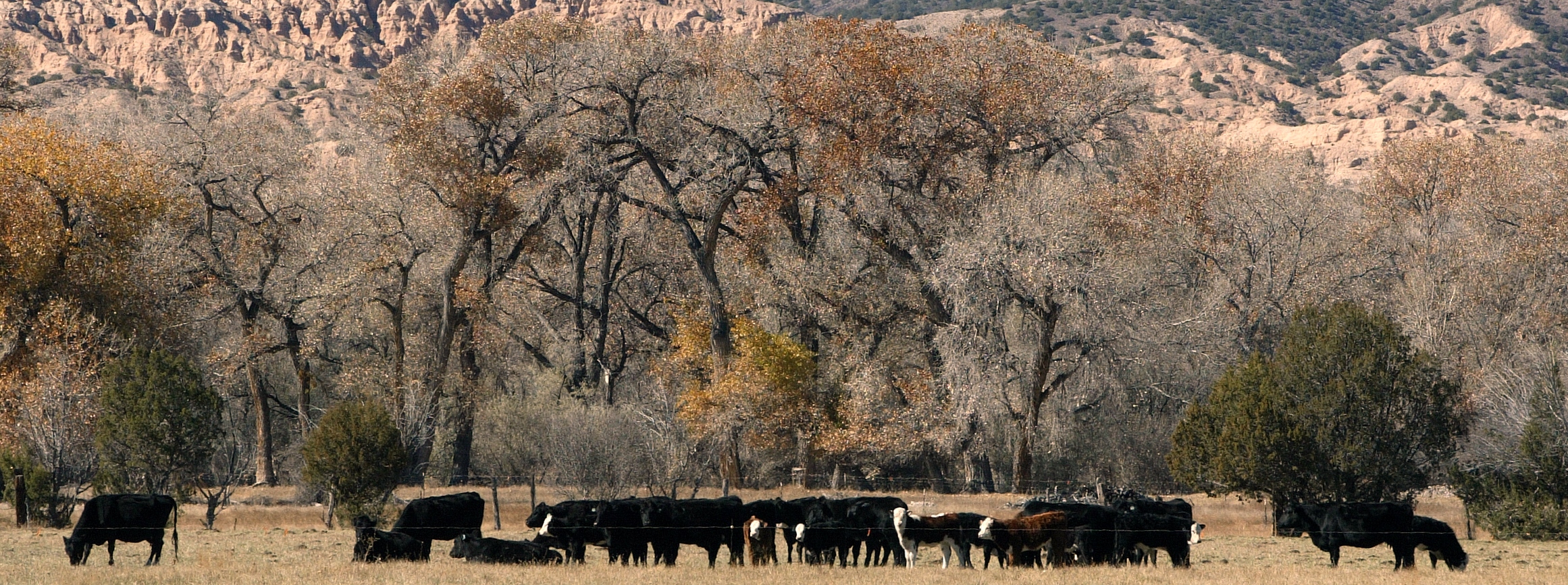 Rangelands-How They Work - New Mexico Rangelands - LibGuides at New ...