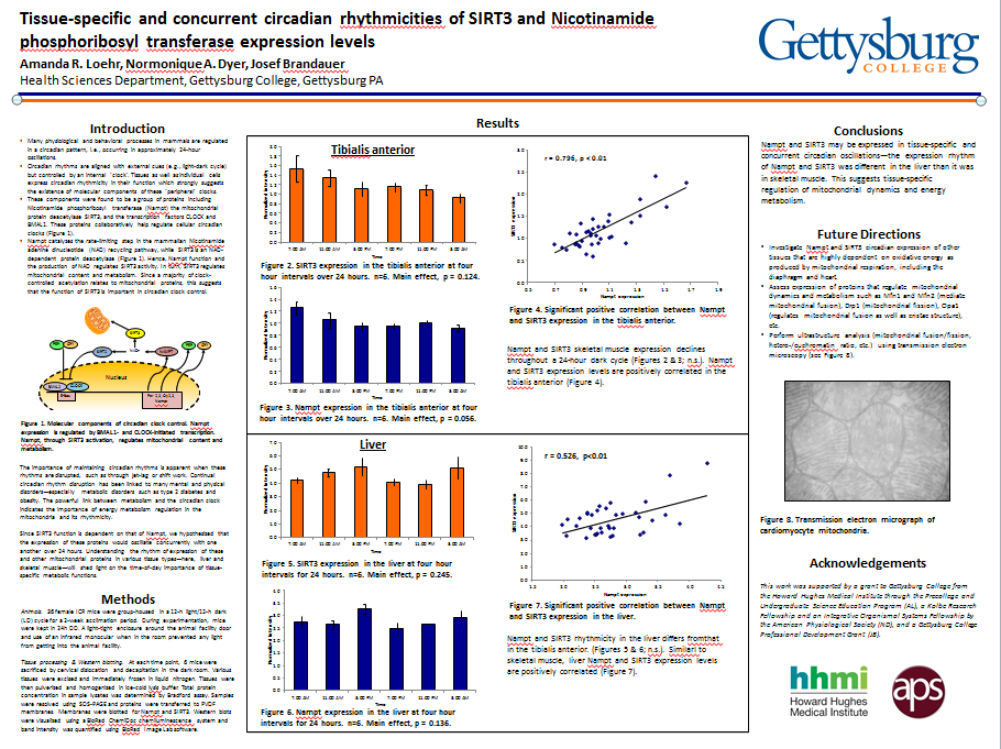 Templates & Graphics - Creating a Poster - Research Guides at Musselman ...