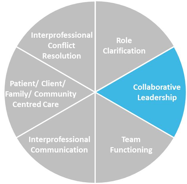 Collaborative Leadership - Interprofessional Collaboration Competency ...