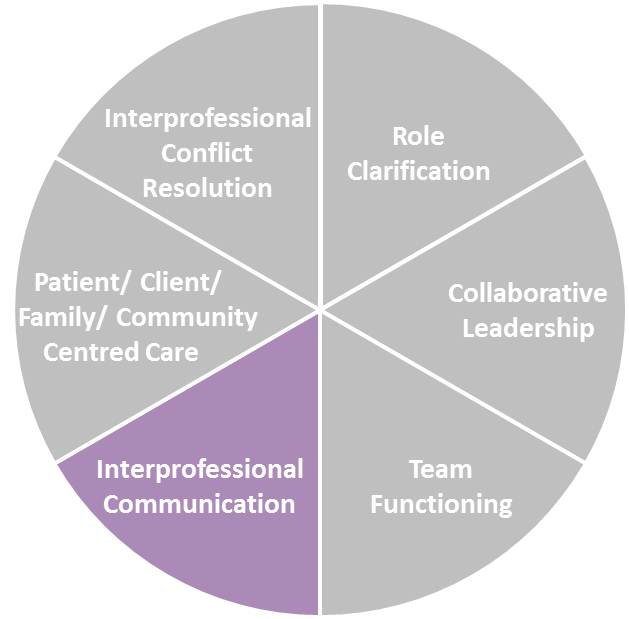 Interprofessional Communication - Interprofessional Collaboration Competency (IPC-C) Framework ...