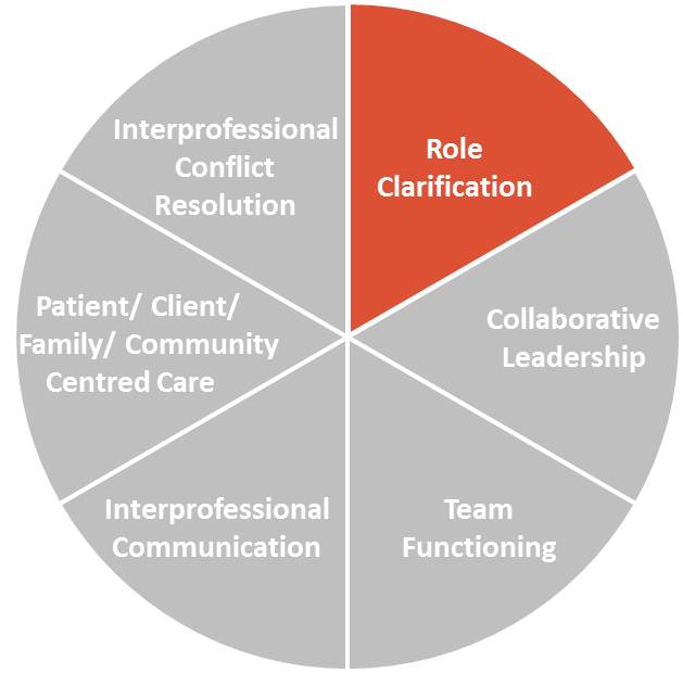 Role Clarification - Interprofessional Collaboration Competency (IPC-C ...