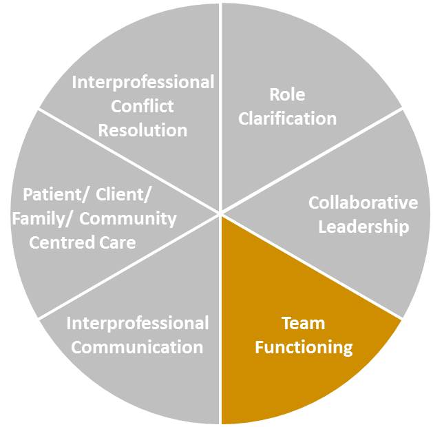 Team Functioning - Interprofessional Collaboration Competency (IPC-C ...