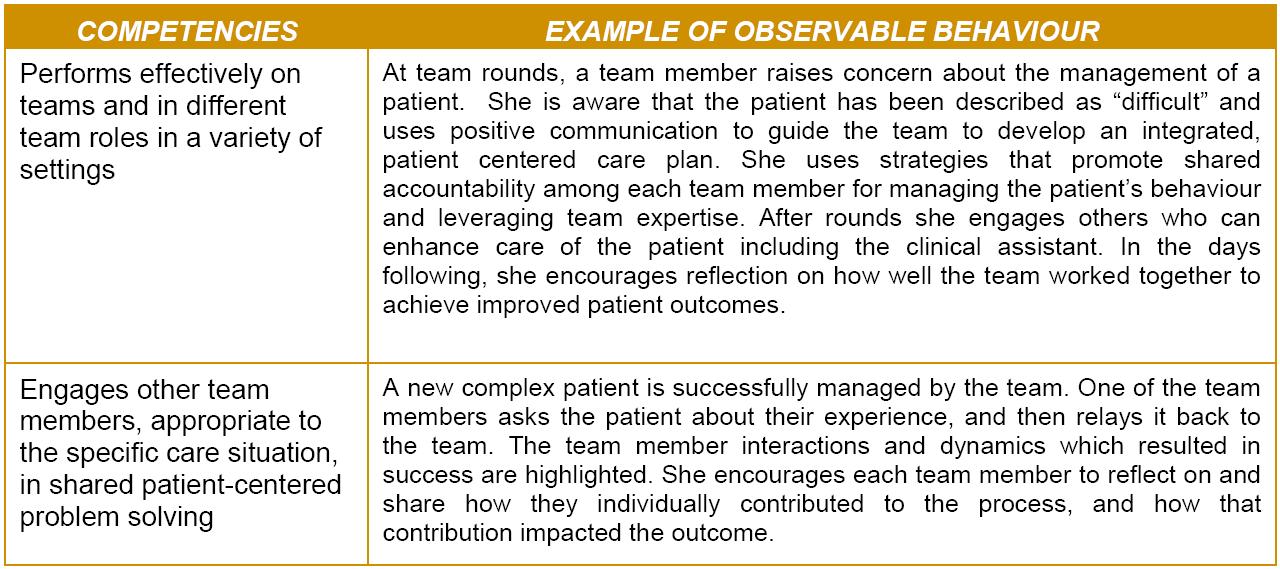 Team Functioning - Interprofessional Collaboration Competency (IPC-C) Framework - LibGuides at ...