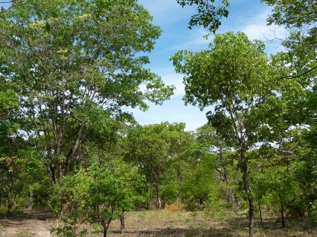 Other Areas of Interest - From Wet to Dry: Critical Environments of ...