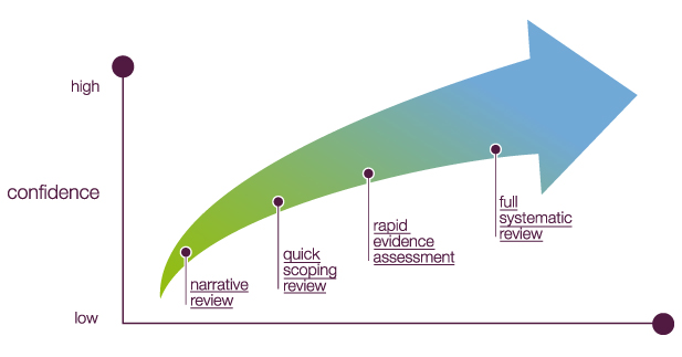What Is A Scoping Review Stephanie Roth