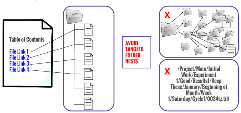 File Organization Data Management Planning Research Guides At New 