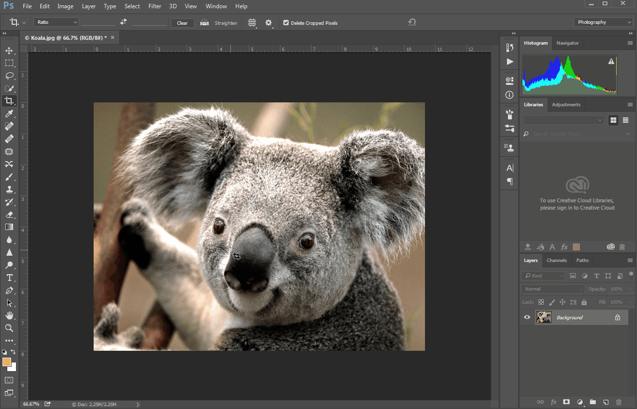 Photoshop Basic Image Manipulation Basic Editing Images Research Photoshop Basic Image Manipulation Basic Editing Images Research