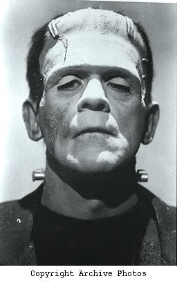 Home - Frankenstein - LibGuides at Watchung Hills Regional High School