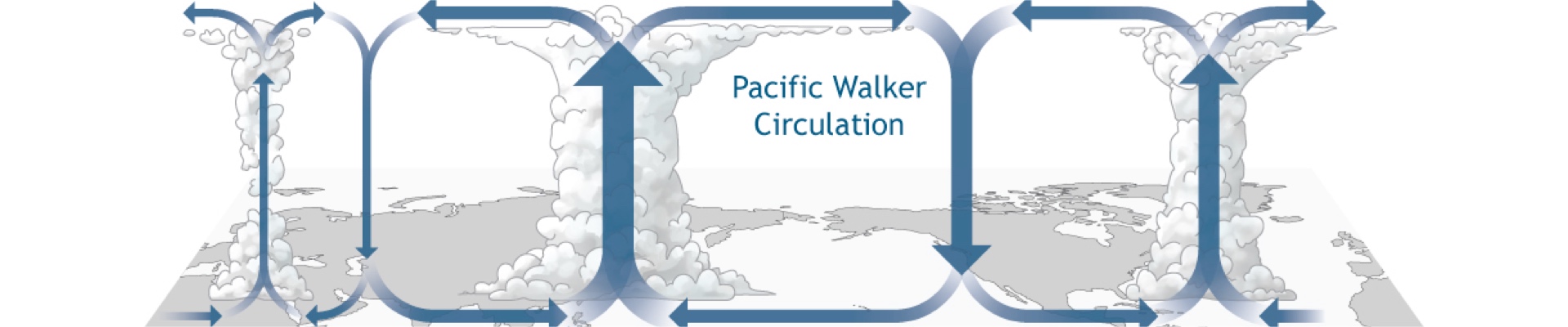 Walker Circulation - El Nino, La Nina and Walker Circulation - library ...