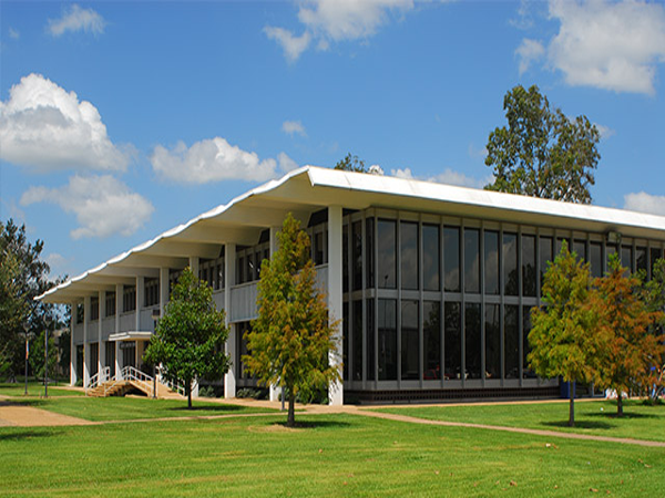 Overview - Libraries - LOUIS Libraries at LOUIS (The Louisiana Library ...
