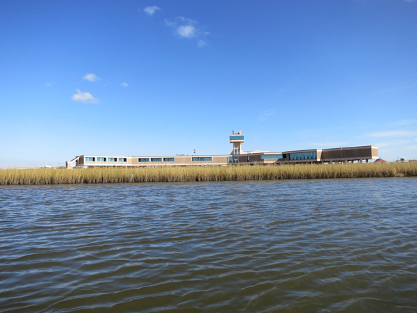 Louis Louisiana Library Network | semashow.com