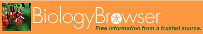 Biology - Science - iCentre at Villanova College