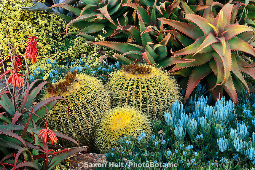 Home - Horticulture - Library at MiraCosta College