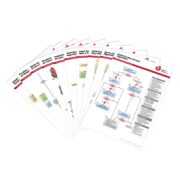 ACLS Posters Set (2020 AHA Guidelines) #20-1111 - LifeSavers, Inc.