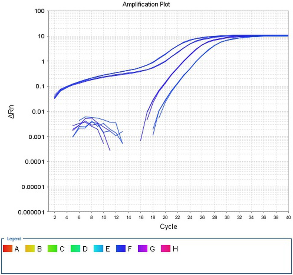 SYBR Green qPCR with Standard Curve Protocol SYBR Green qPCR with Standard Curve Protocol