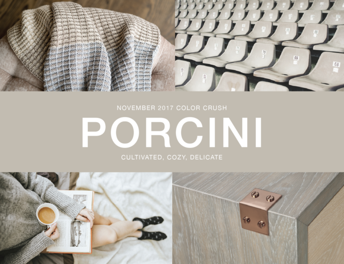 November Color Crush: Porcini - Life-Styled by Stacy Garcia