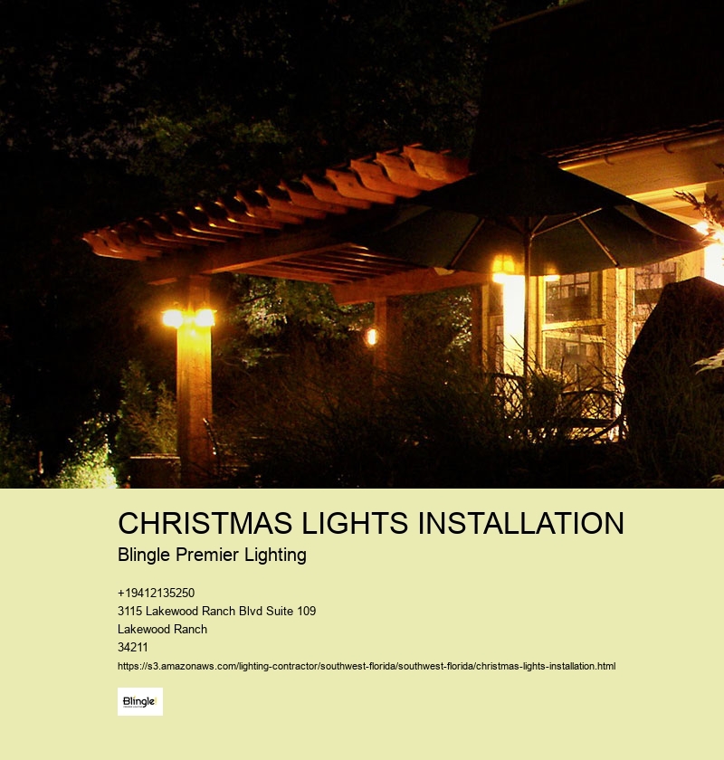 CHRISTMAS LIGHTS INSTALLATION