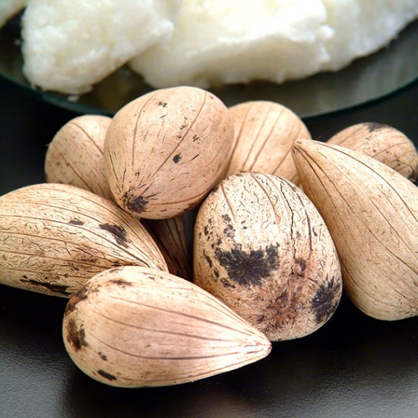 Produtos com murumuru