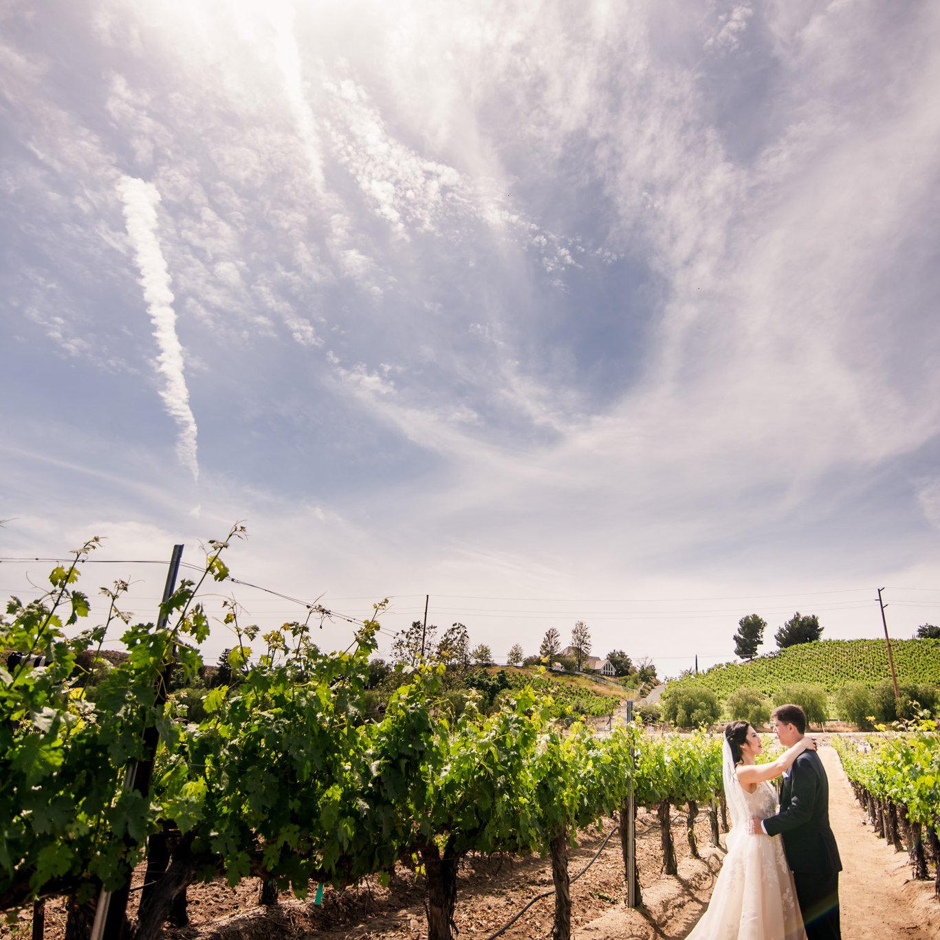 Leoness Cellars Temecula Wedding | Lalita & Joaquin