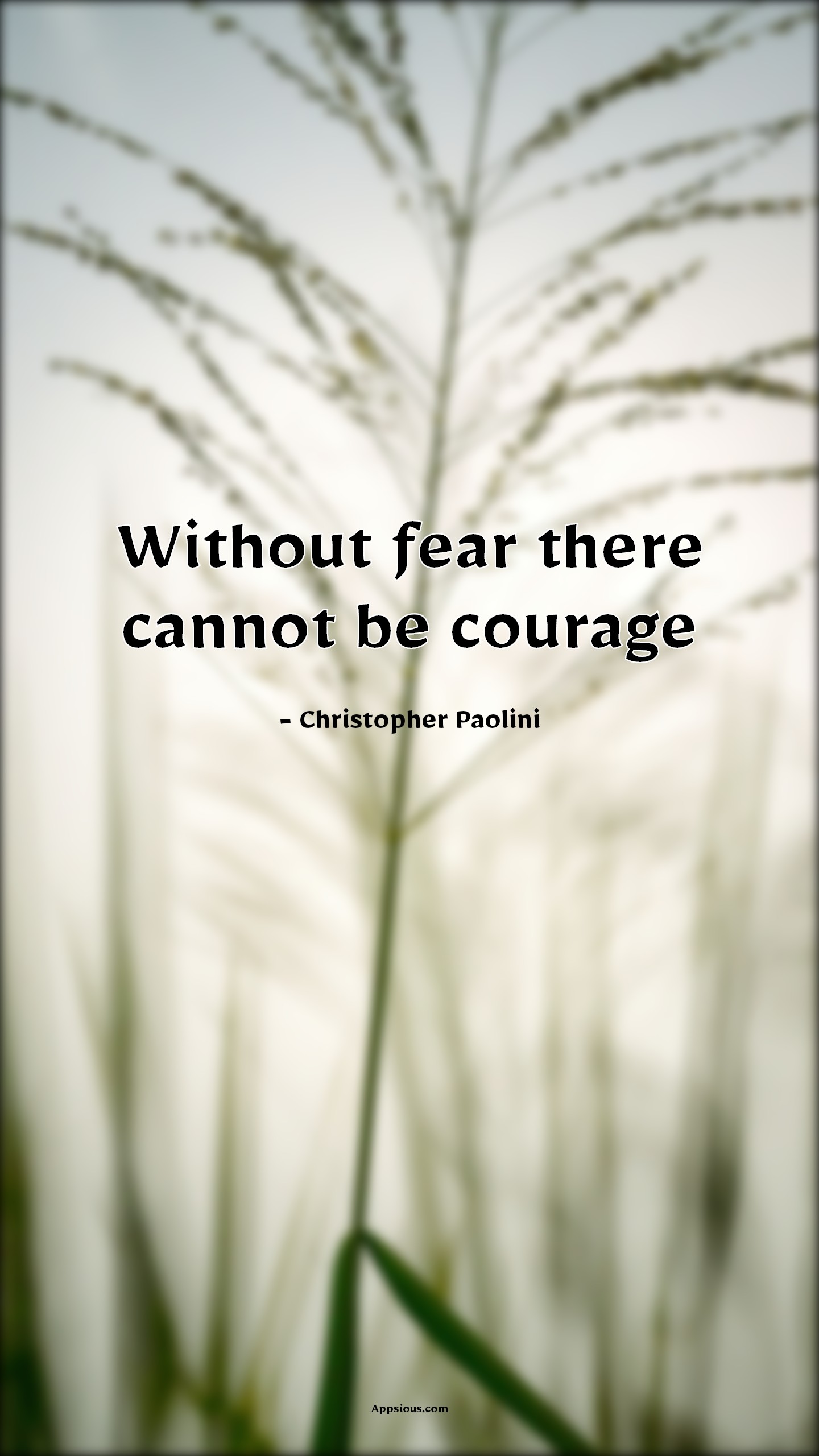 Without fear there cannot be courage - quotewis.com