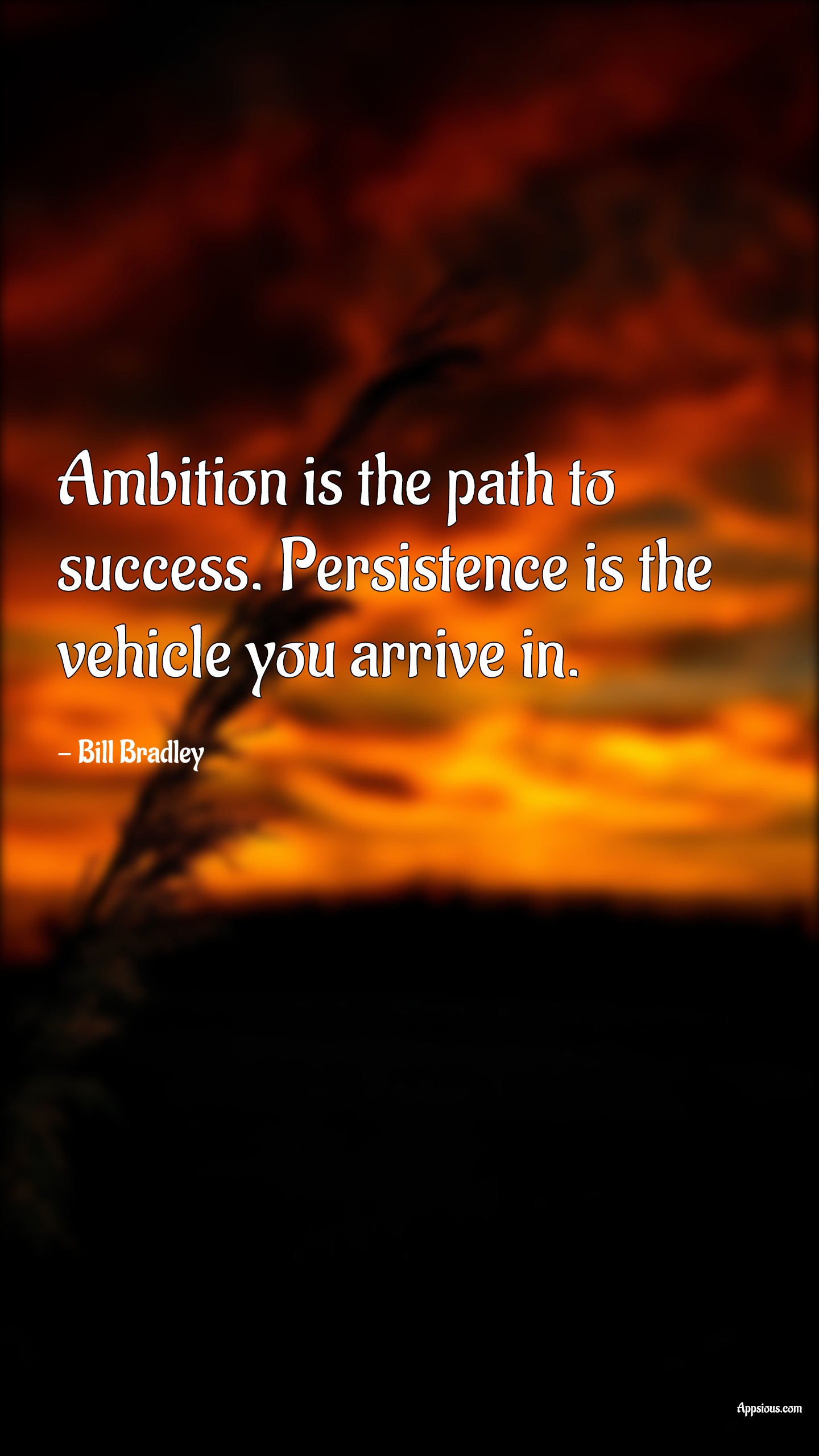 Ambition is the path to success. Persistence is the vehicle you arrive ...