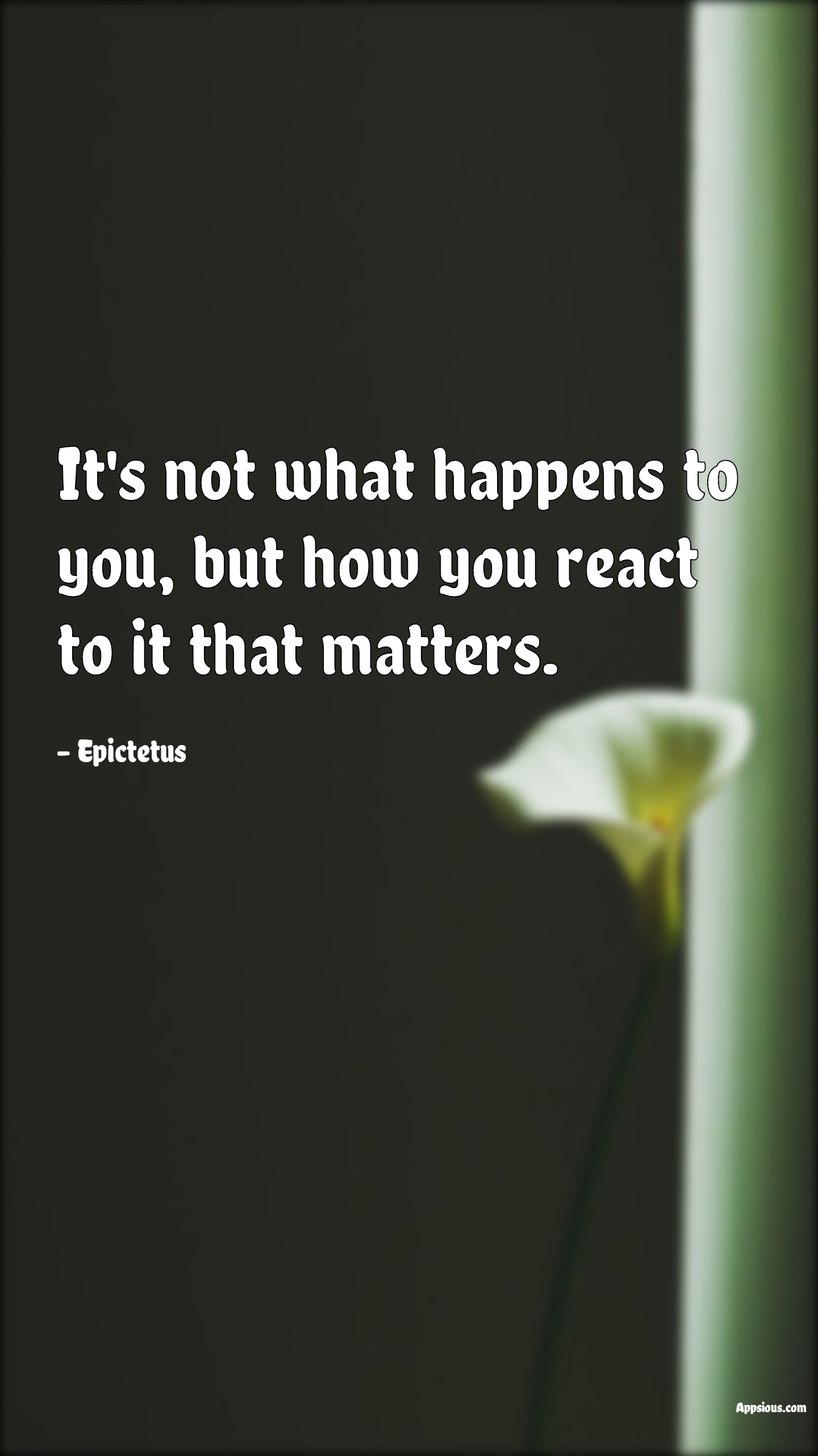 It's not what happens to you, but how you react to it that matters ...