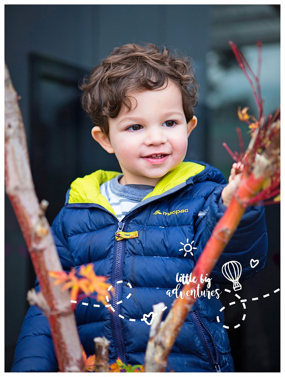 Little Big Adventures: Toddlers Galleries