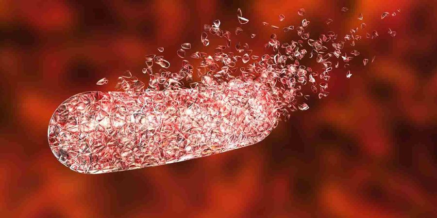 Bacteria vs. bacteria | Drug Discovery News